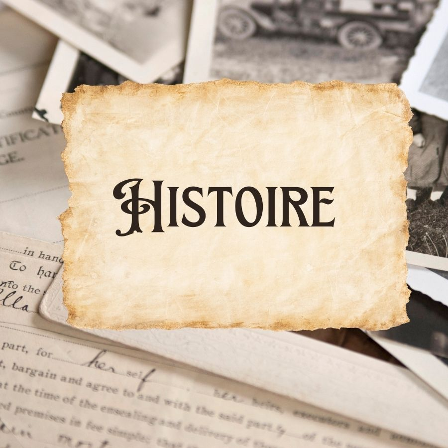 Livres d'histoire d'occasion à petit prix – Livrenpoche